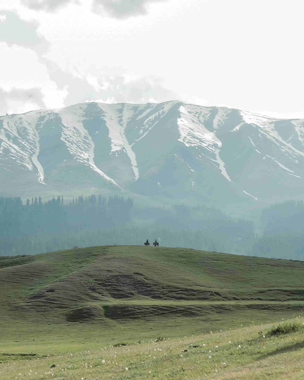 The Best AI Eraser with PhotoGrid for Effortless Photo Editing - PhotoGrid Blog