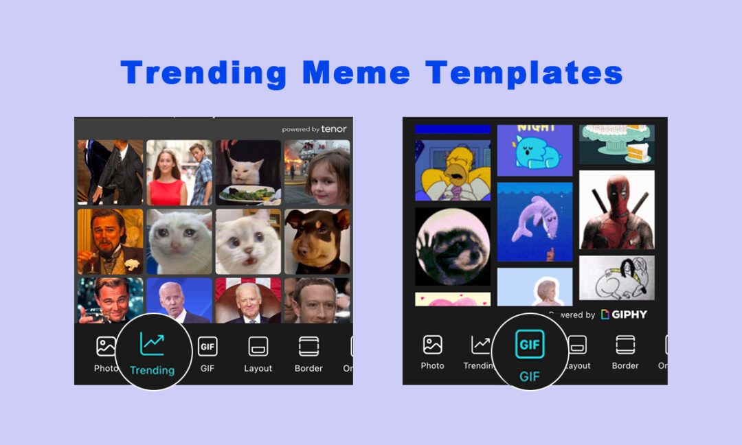 Create Viral Memes with PhotoGrid's Free Meme Maker